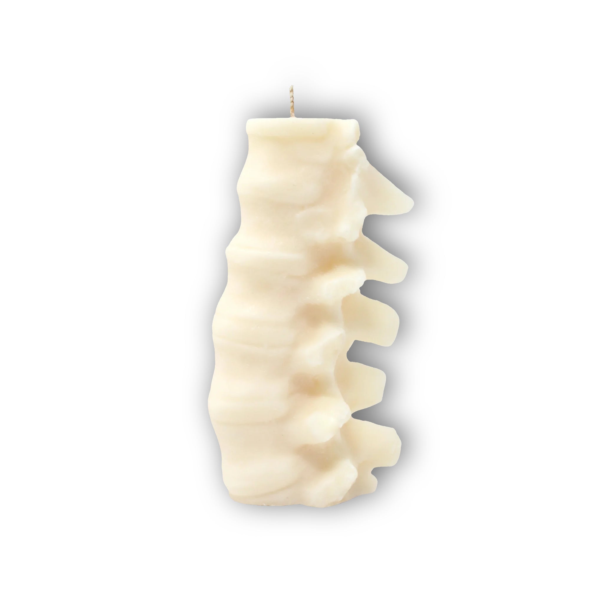 Surgeons' Hall Museums shop – Surgeons' Hall Museums Shop