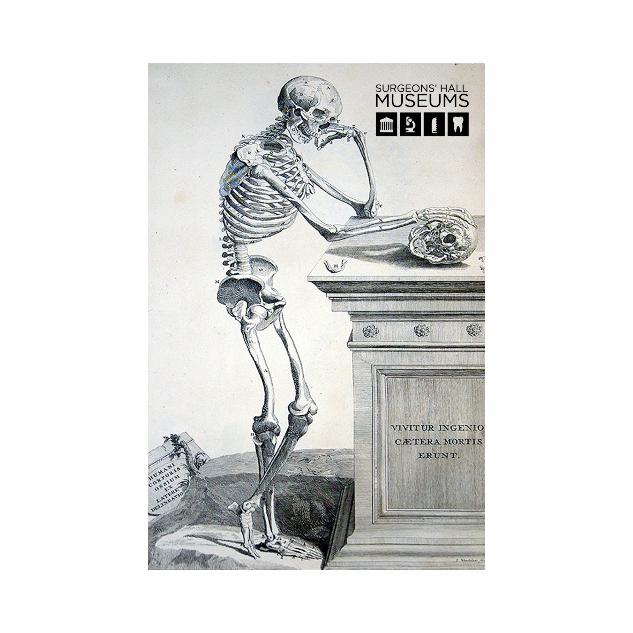 Surgeons' Hall Museums shop – Surgeons' Hall Museums Shop