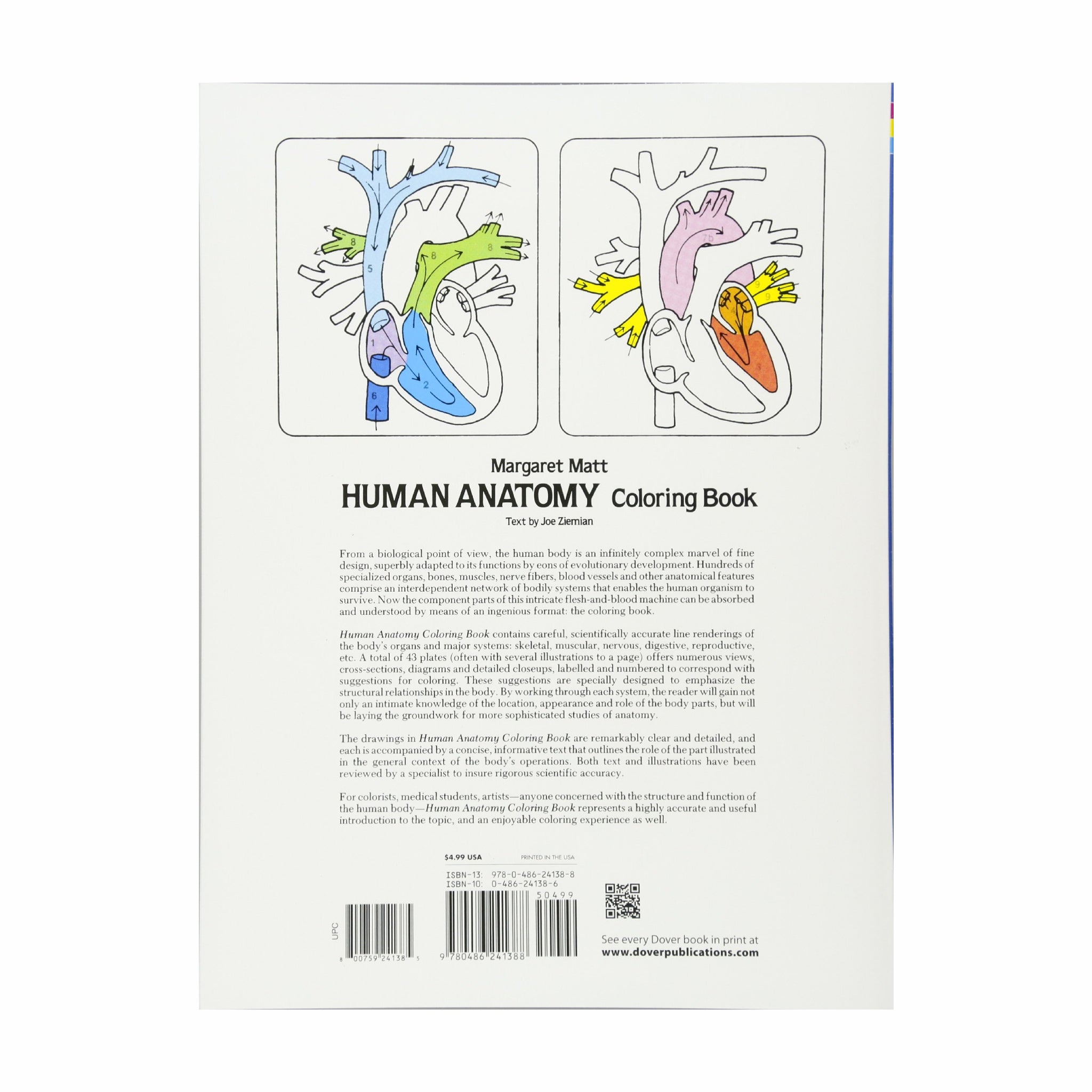Human Anatomy Colouring Book – Surgeons' Hall Museums Shop