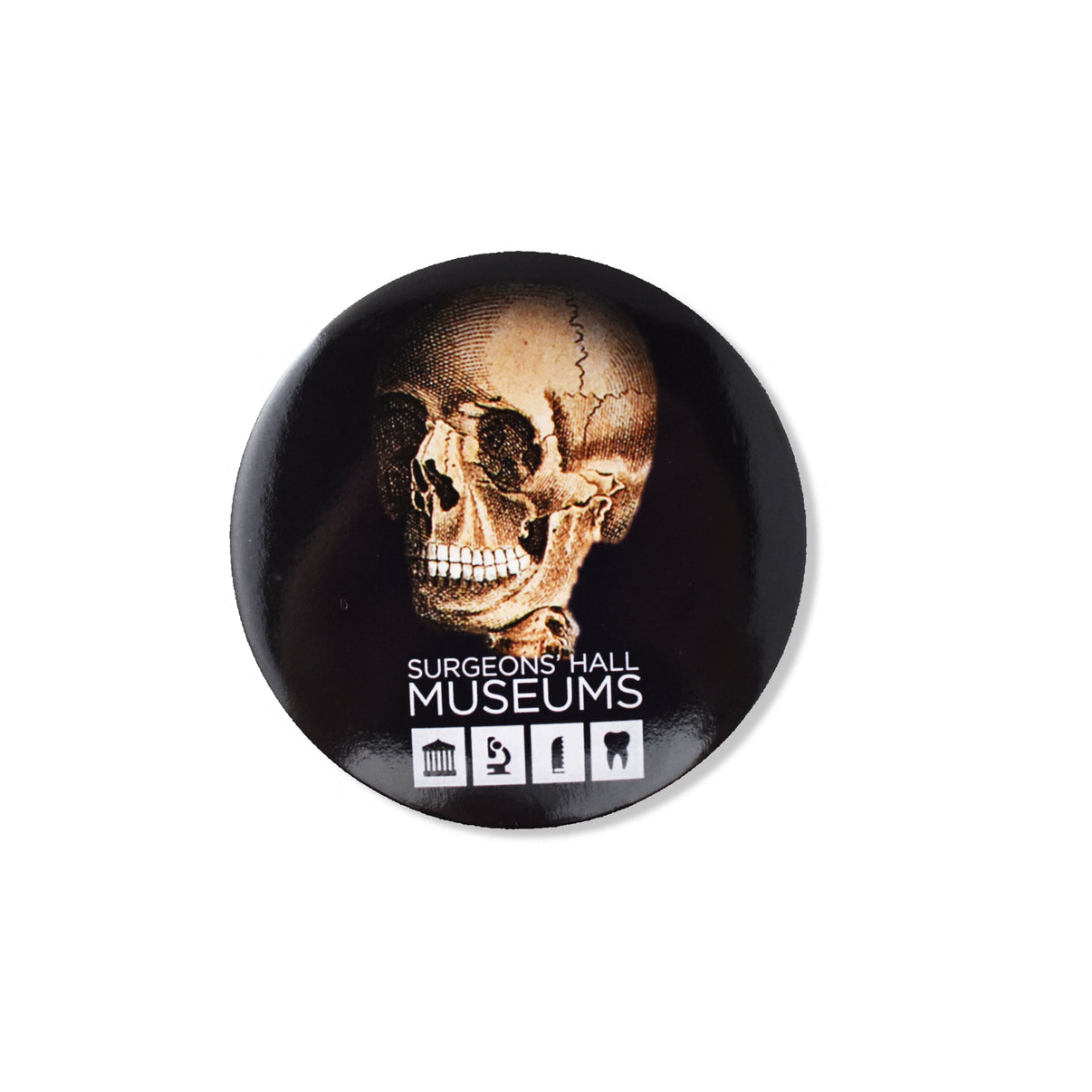 Skull Pin Badge – Surgeons' Hall Museums Shop